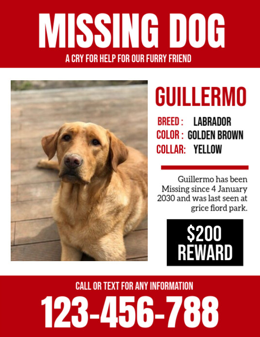 Missing dog Template | PosterMyWall