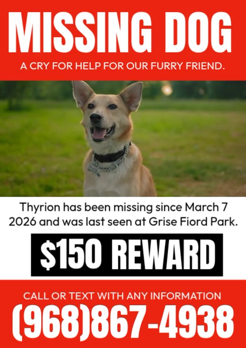 Missing Dog Template | PosterMyWall