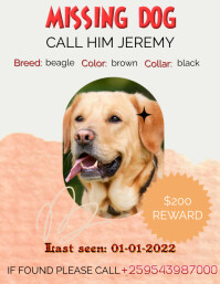 Yellow Missing Dog Poster Template | PosterMyWall