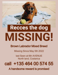 Missing Dog Flyer Template | PosterMyWall