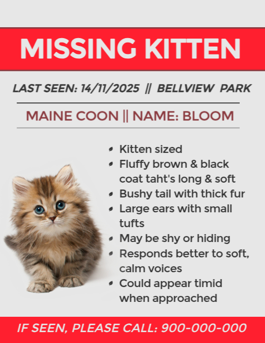 Missing Kitten Alert Flyer Template | PosterMyWall