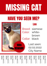 LOST CAT FLYER Template | PosterMyWall
