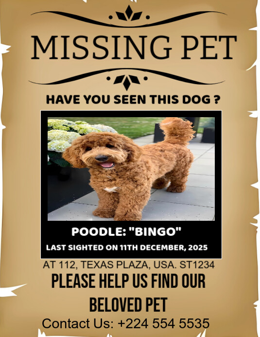 Modèle Missing person flyer design template | PosterMyWall