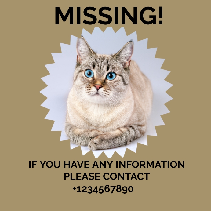 missing pet Template | PosterMyWall