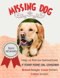 missing pet flyer Template | PosterMyWall
