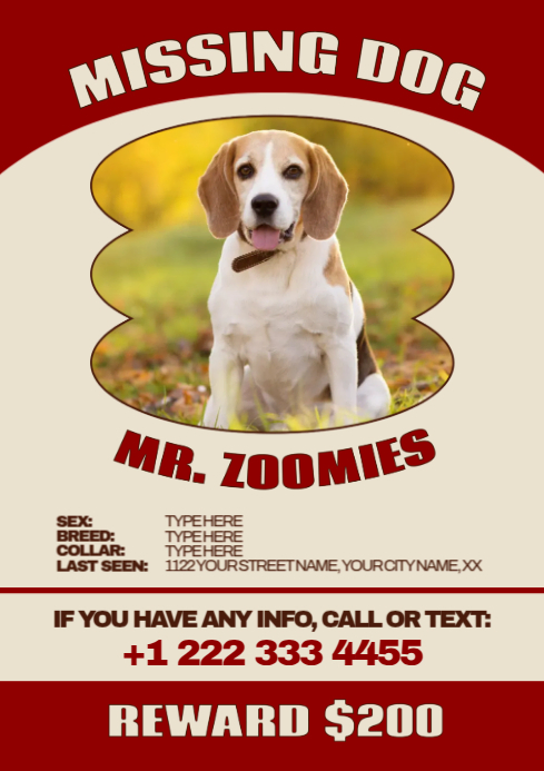 Missing Pet Flyer A4 Template | PosterMyWall