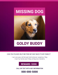 Lost dog missing pet flyer poster template | PosterMyWall