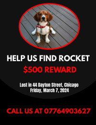 Missing Pet Flyer Template | PosterMyWall