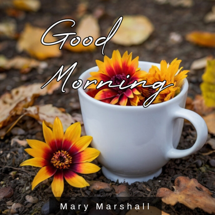 Modern & Minimal Album Cover Design Album Cover Template | PosterMyWall