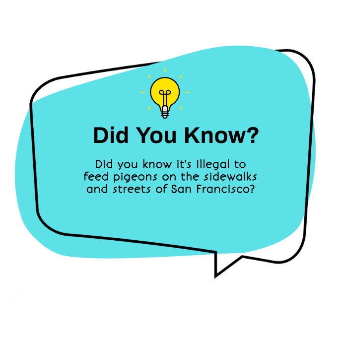 Modern & Minimal Did You Know? Instagram Post Template | PosterMyWall