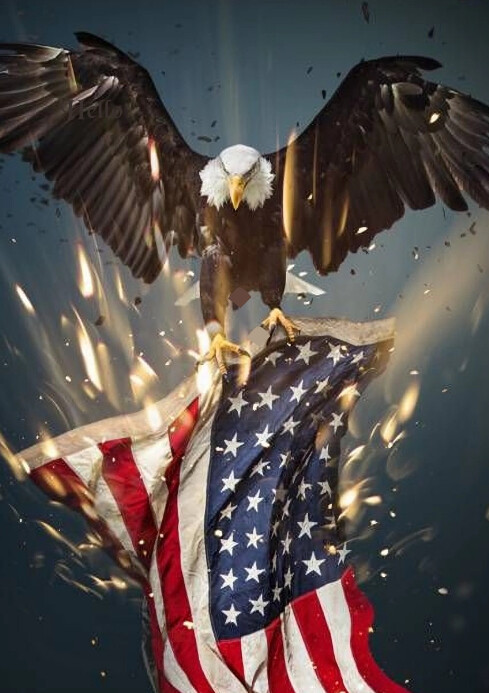 Modern & Minimal Independence Eagle A4 Template | PosterMyWall