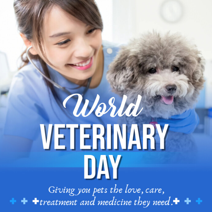 Modern & Minimal World Veterinary Day Instagram Post Template ...