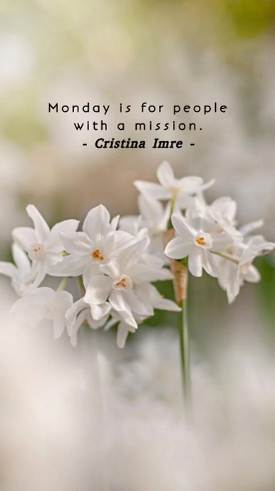 Plantilla de monday quote | PosterMyWall