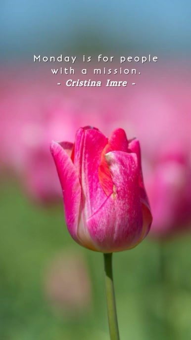 Plantilla de monday quote | PosterMyWall