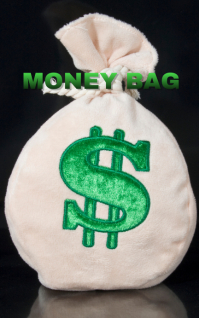 THE MONEY BOOK TEMPLATE | PosterMyWall