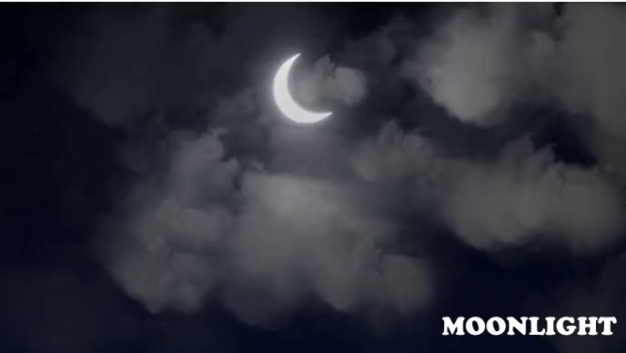 Moonlight night video Template | PosterMyWall