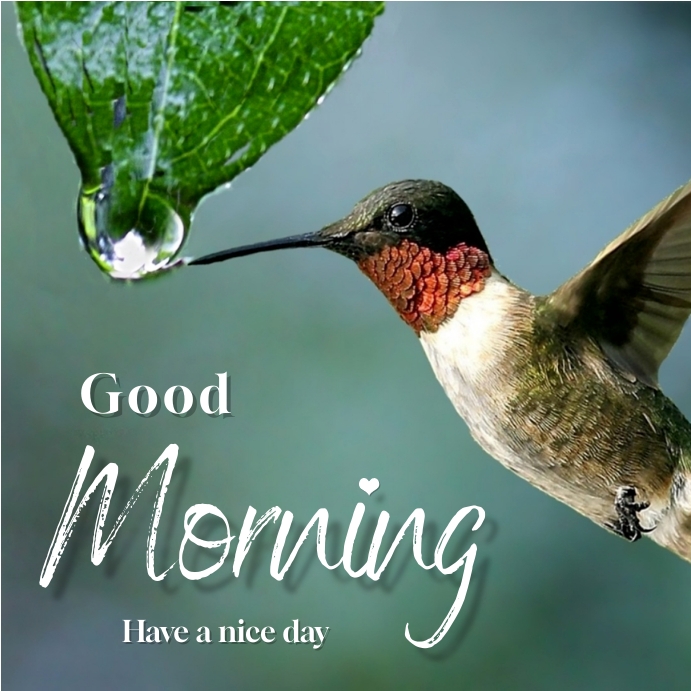 Morning Template | PosterMyWall