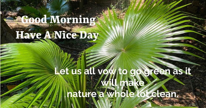 Morning Template | PosterMyWall