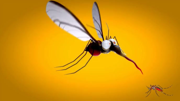 Mosquito Template | PosterMyWall