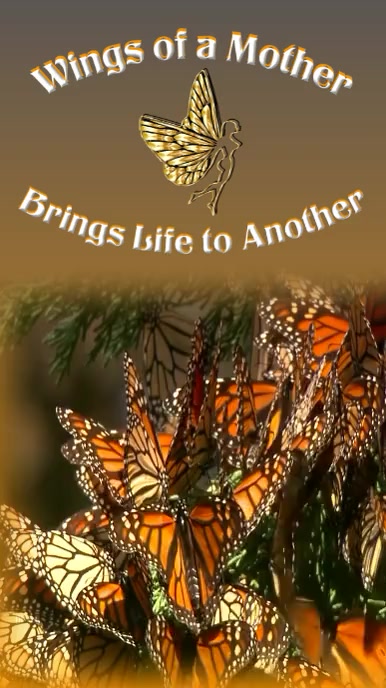 Mothers Day Butterfly Digital Design Template | PosterMyWall