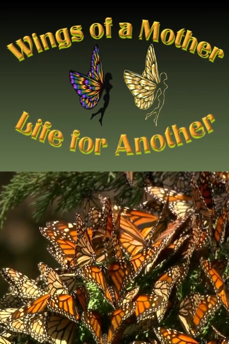 Mothers Day Butterfly Digital Design Template | PosterMyWall