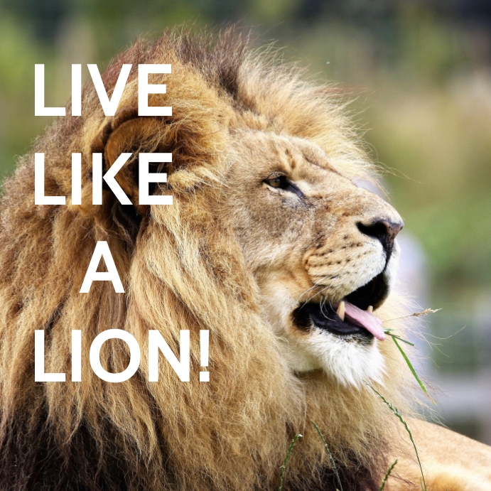 Motivation flyer Template | PosterMyWall