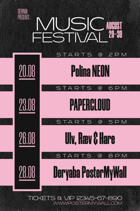 Music Festival Fest Band Event Story Schedule Template | PosterMyWall
