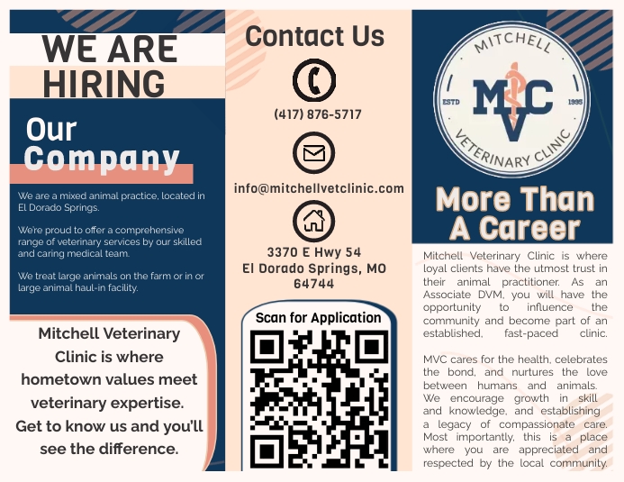 MVC Blue Handout Blue With Margins Template | PosterMyWall