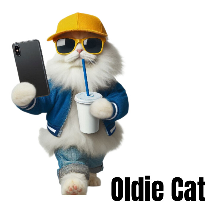 Modèle My Cat | PosterMyWall