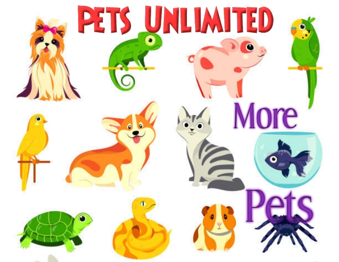 Copy of My Pets Flyer Template | PosterMyWall