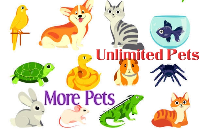 Copy of My Pets Flyer Template | PosterMyWall