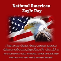 national american eagle day Template | PosterMyWall
