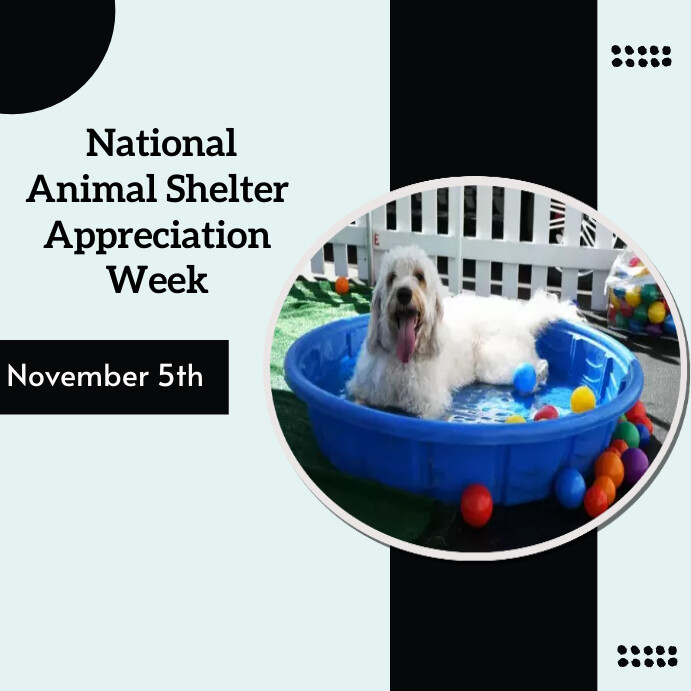 national animal shelter appreciation day Templat | PosterMyWall