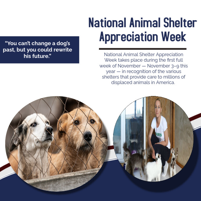 Modèle National Animal Shelter Appreciation Week | PosterMyWall