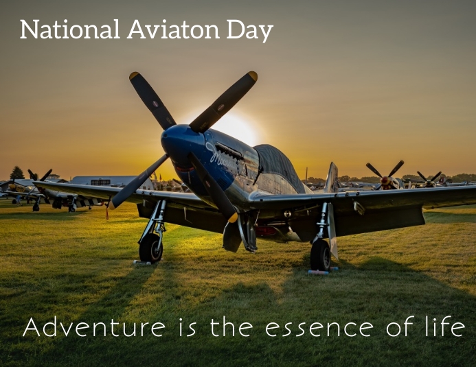 National aviation day Template | PosterMyWall