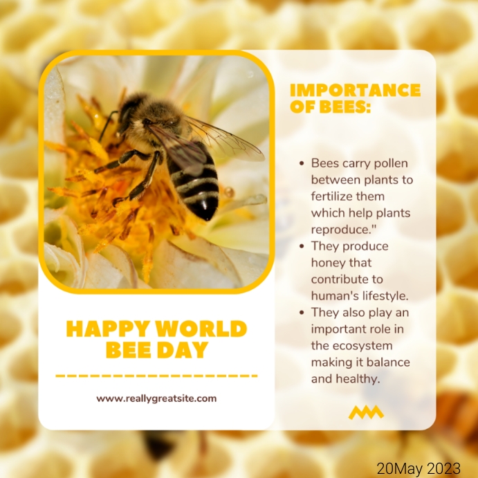 Copy of National Bee day Instagram post | PosterMyWall