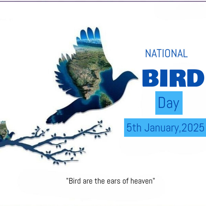 National bird day design flyer Template | PosterMyWall