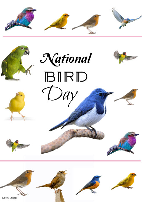 National Bird Day Template | PosterMyWall