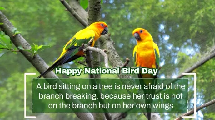 National birds day Template | PosterMyWall