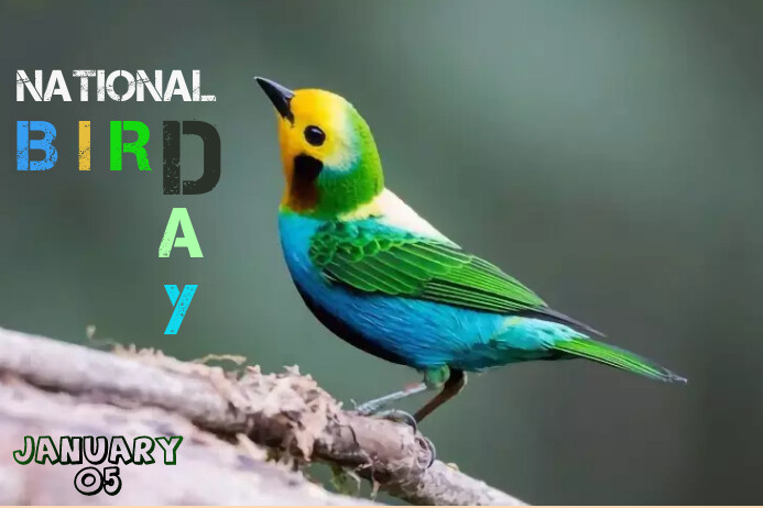 National birds day in America Templat | PosterMyWall