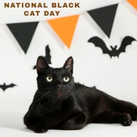 NATIONAL BLACK CAT DAY Template | PosterMyWall
