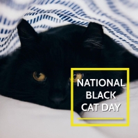 NATIONAL BLACK CAT DAY Template | PosterMyWall