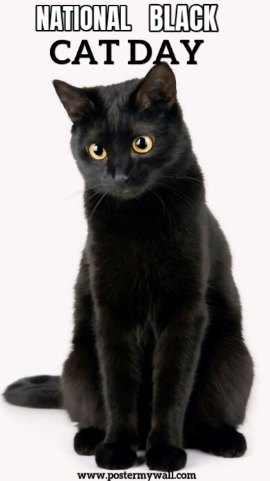 National Black Cat Day National Black Cat Day – The Viking Saga