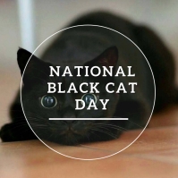 NATIONAL BLACK CAT DAY Template | PosterMyWall