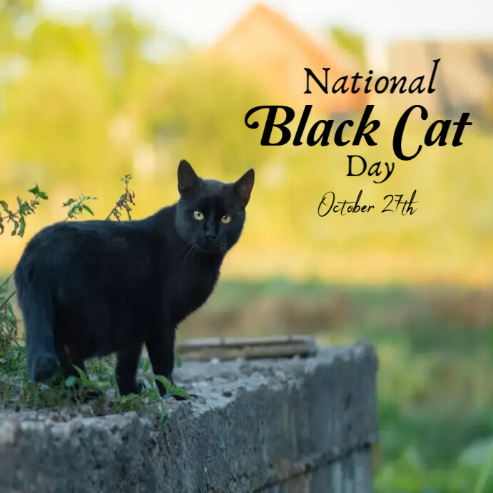 National Black Cat Day Instagram Post Template | PosterMyWall