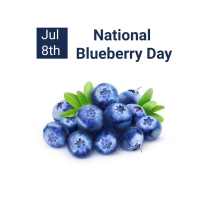 national blueberry day Template | PosterMyWall