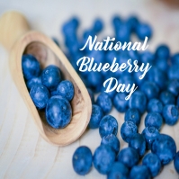 National blueberry day Instagram post Template | PosterMyWall