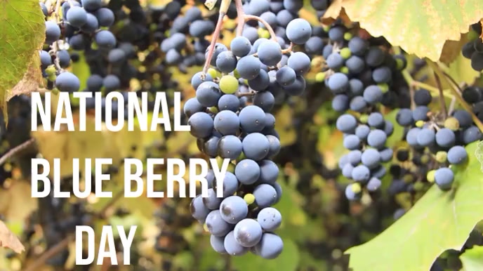 National blueberry day video tampelte Template | PosterMyWall