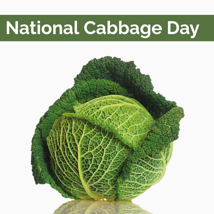 national cabbage day Template | PosterMyWall