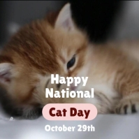 NATIONAL BLACK CAT DAY Template | PosterMyWall